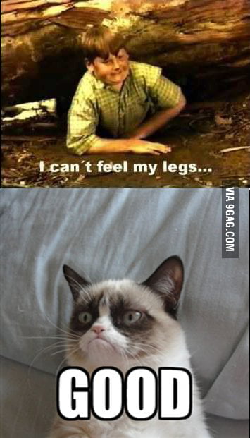 If Lassie Was A Grumpy Cat 9gag