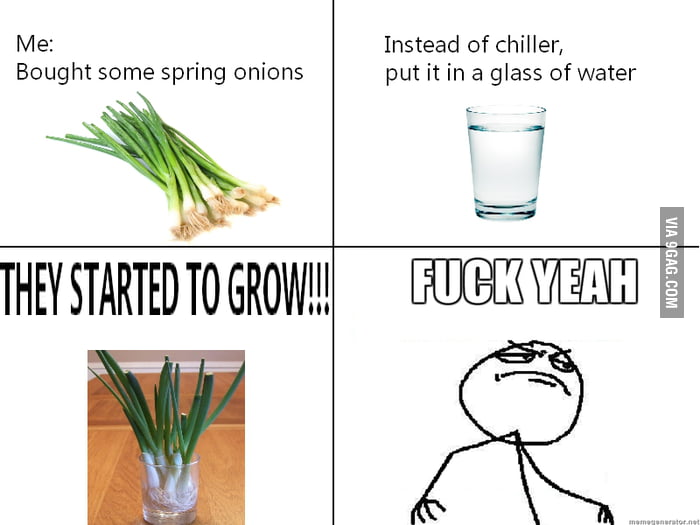 Spring onions - 9GAG