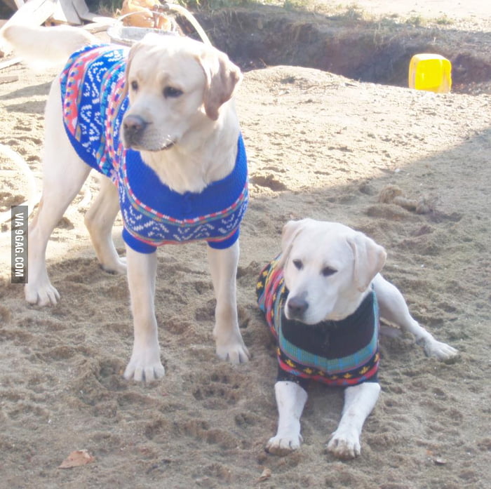 Make them famous ! - 9GAG