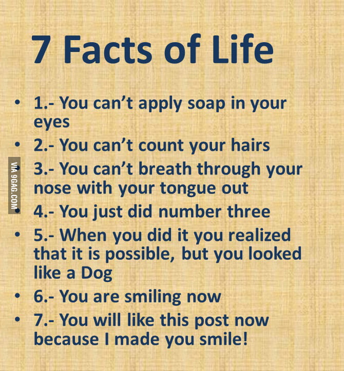 7 Facts Of Life 9GAG 7 Facts Of Life 9GAG