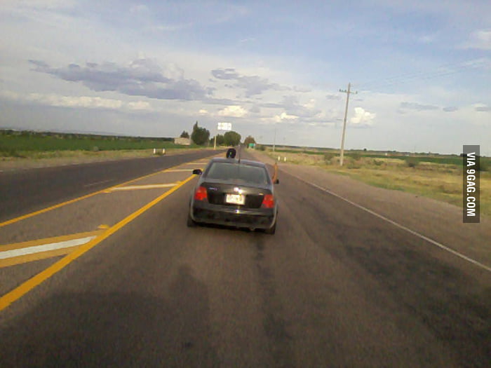 Driving back home when.. - 9GAG
