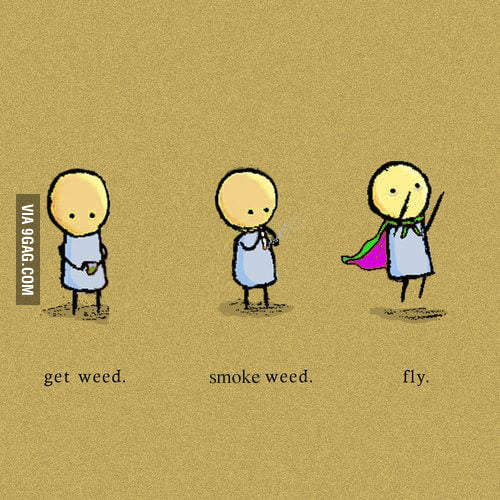 Learn how to fly - 9GAG