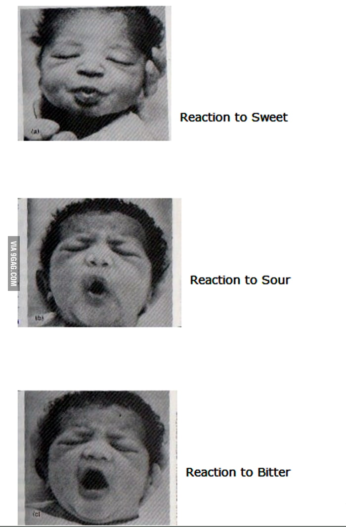 Reaction of newborns to different tastes - 9GAG