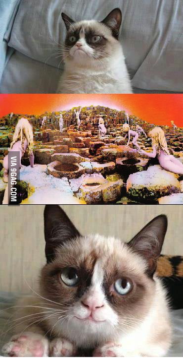 Even Grumpy Cat loves Led Zeppelin - 9GAG