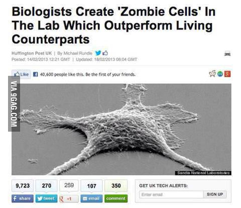 Grab your gear, it has begun. - 9GAG