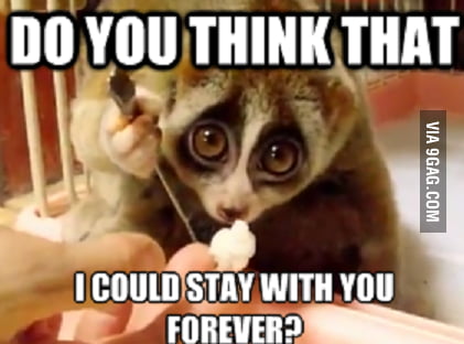 OF COURSE YOU CAN! - 9GAG