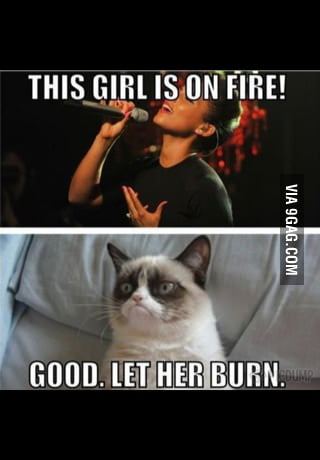 Grumpy cat is grumpy.. - 9GAG