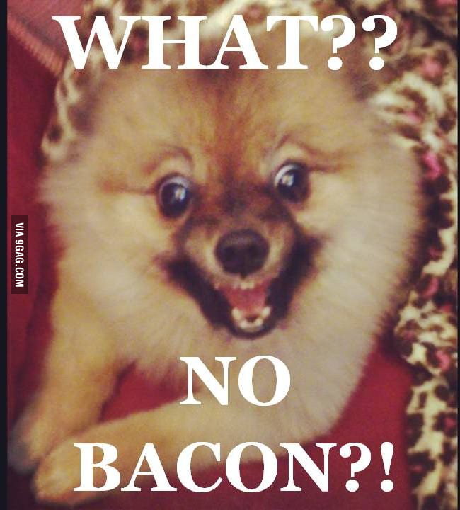 NO BACON - 9GAG
