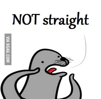 Not straight - 9GAG