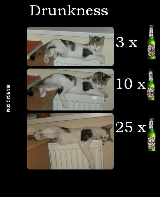 Drunkness - 9GAG