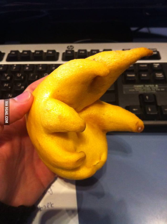 So I Heard You Like Lemons 9gag
