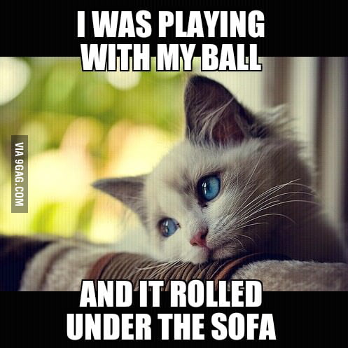First World Cat Problems.. - 9GAG