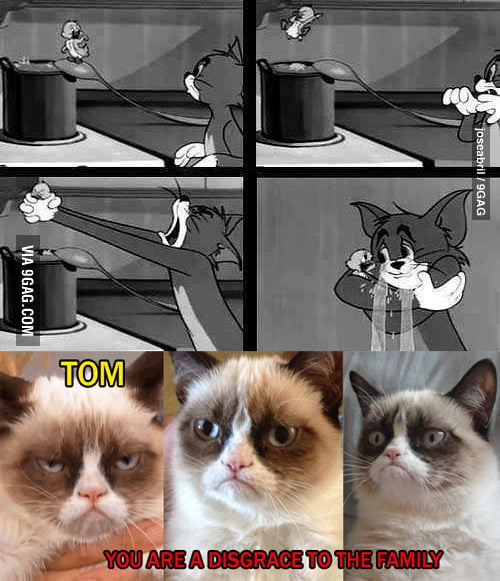 THOMAS in the Grumpy Family - 9GAG