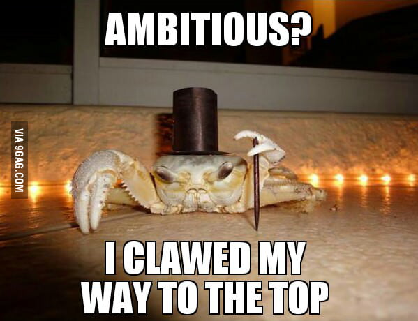 Fancy Crab isn't impressed by your ambition - 9GAG