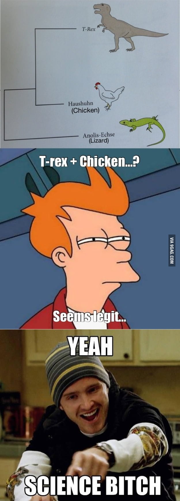 F*ck yeah! Science! - 9GAG