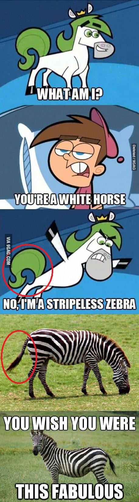 So Fabulous 9gag
