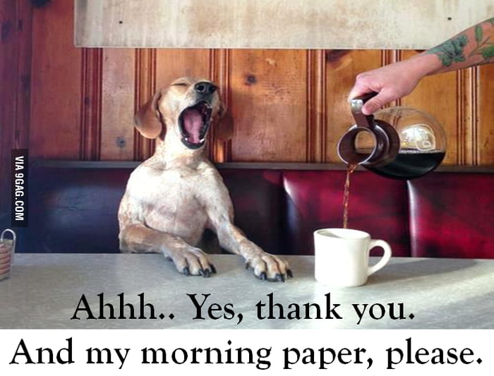 Ahhh.. Yes, thank you. - 9GAG