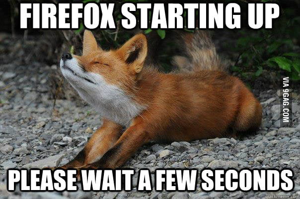 I simply love the Red Fox - 9GAG