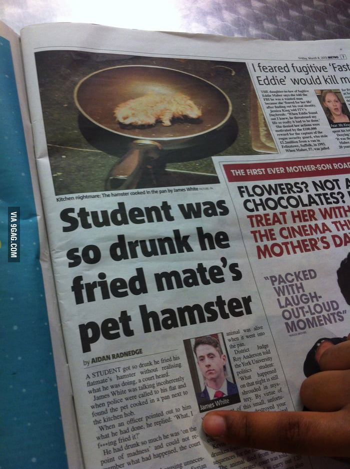 Drunk level: hamster killer - 9GAG