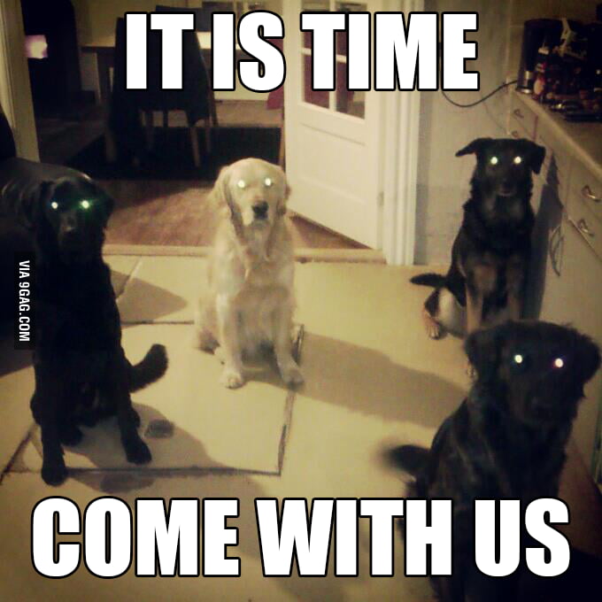 It is time - 9GAG