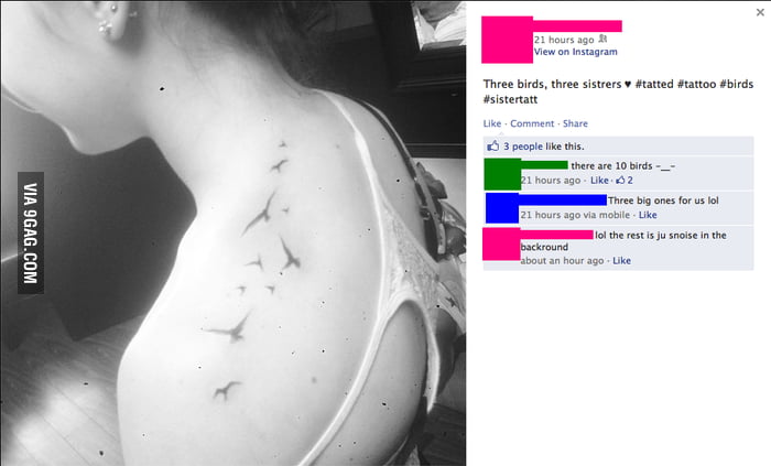 Three birds - 9GAG