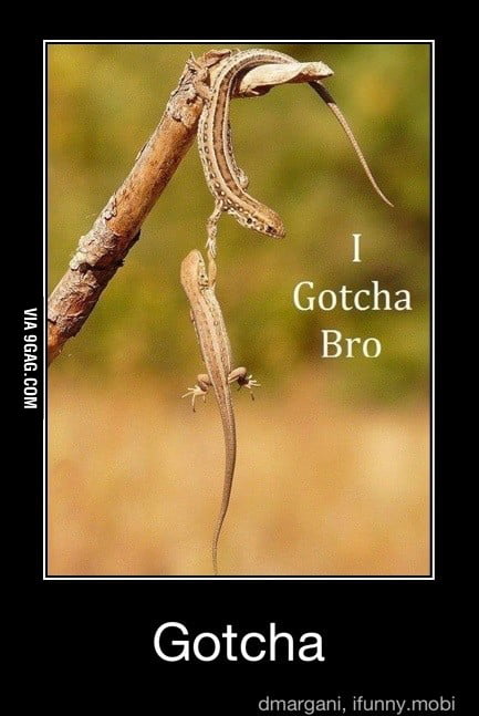 I gotcha bro - 9GAG