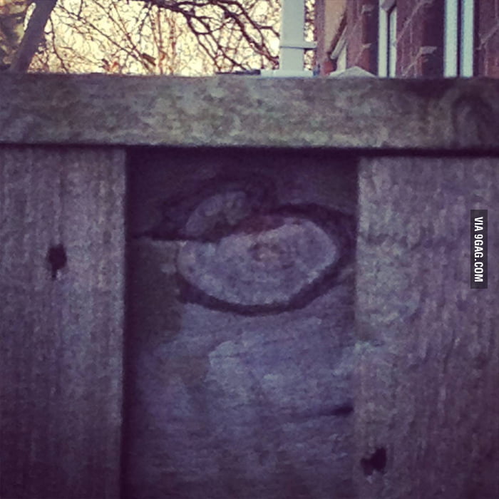 Forever alone fence haha - 9GAG