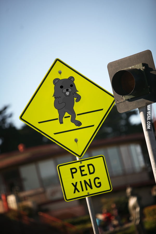 ped-xing-9gag