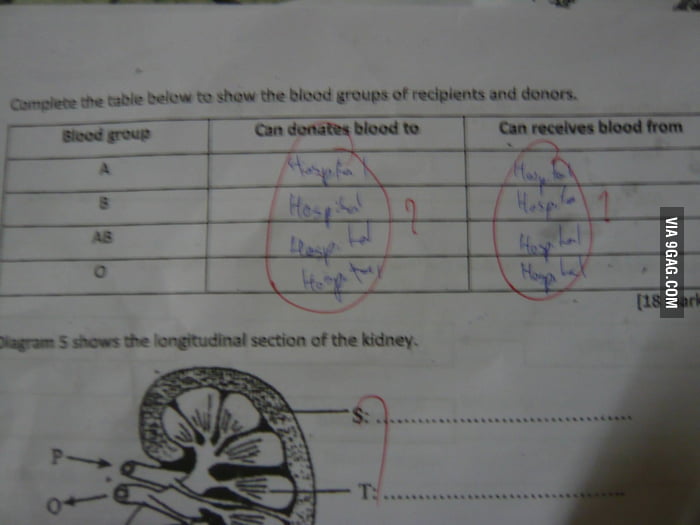 Best Answer ever! - 9GAG