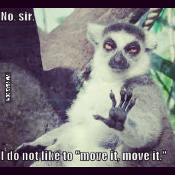 No sir, I don't like to move it move it - 9GAG