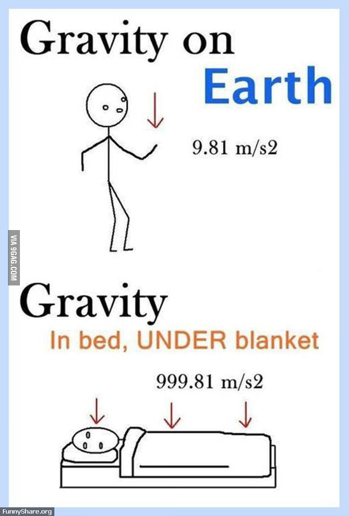 Bed Gravity Explained - 9GAG