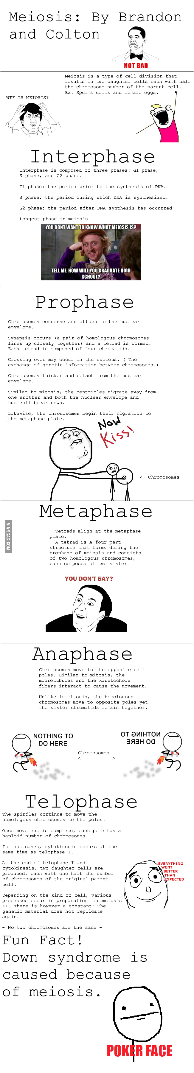 Meiosis in Memes - Brandon and Colton - 9GAG