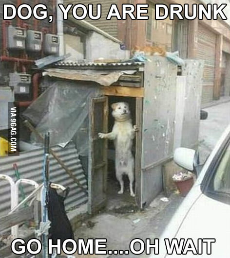 Go home dog - 9GAG