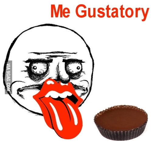 Me Gustatory...system - 9GAG