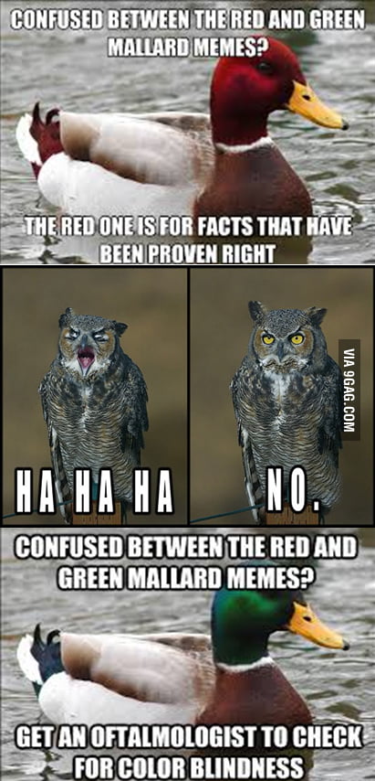 Just to be clear! - 9GAG