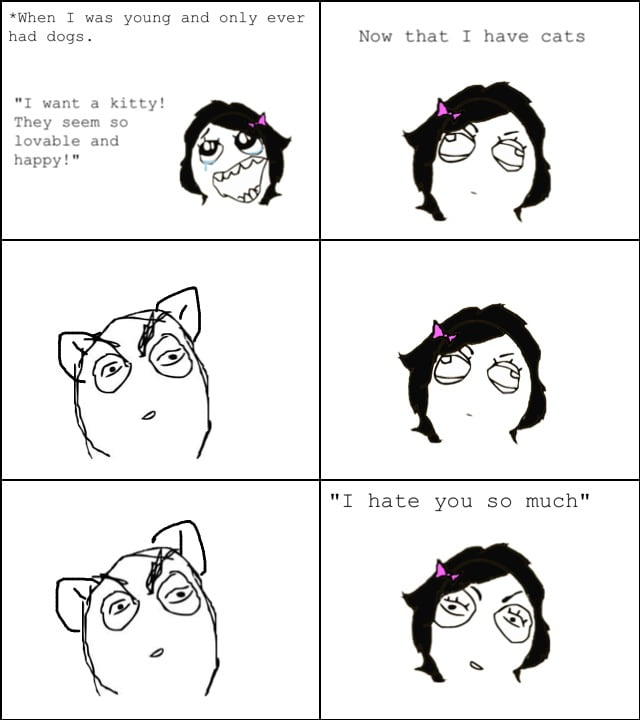 I was so wrong - 9GAG