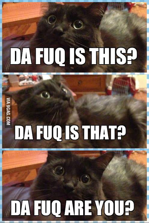 Da fuq is going on? - 9GAG
