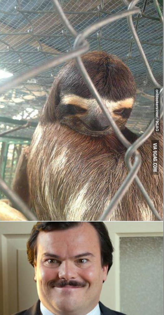 Jack black sloth - 9GAG