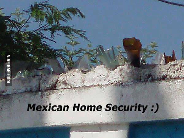 Meanwhile in Mexico - 9GAG
