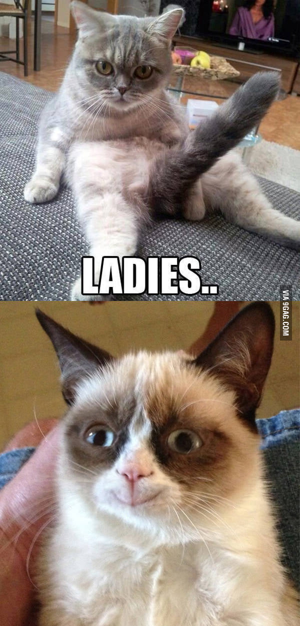 Not so grumpy cat - 9GAG