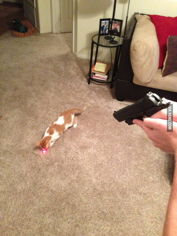 Good kitty.... - 9GAG