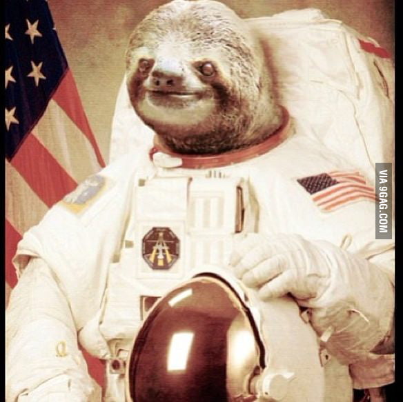 Sloth swag - 9GAG