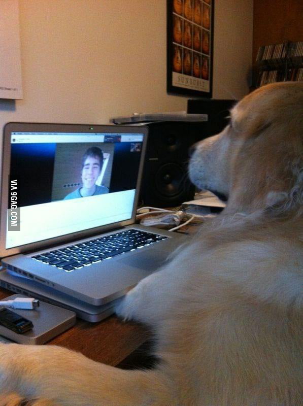 Sometimes I skype with my dog - 9GAG
