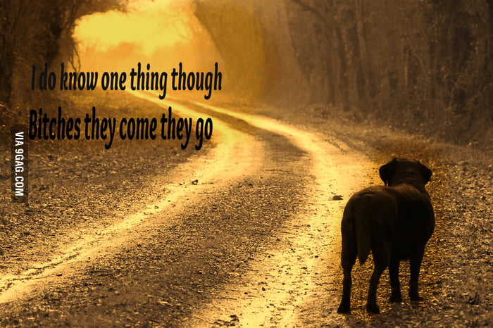 B*tches they come they go - 9GAG