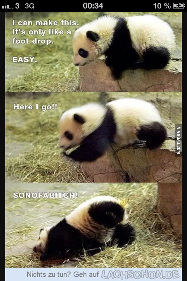 Panda fail - 9GAG