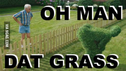 Dat grass - 9GAG