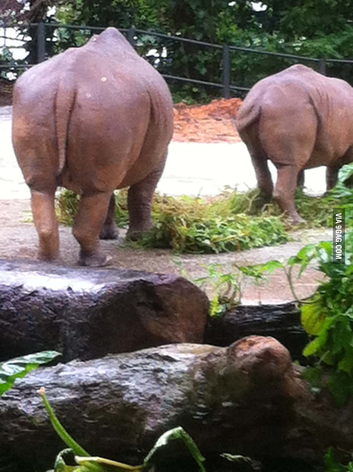 Nice asss... - 9GAG