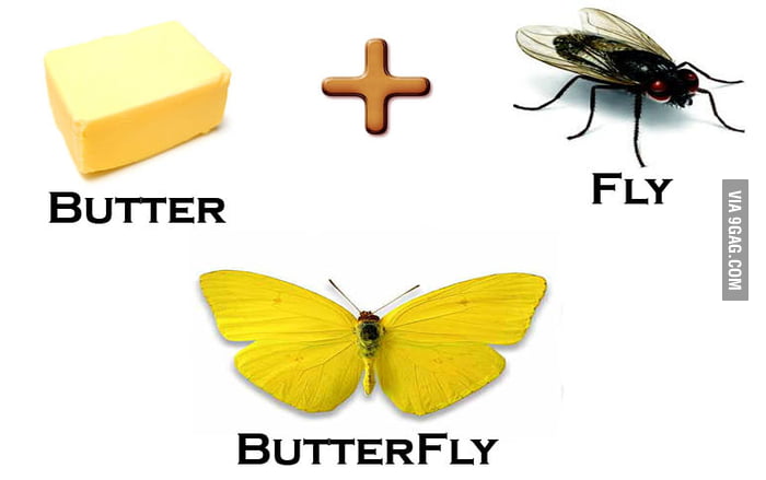 Butter Fly? - 9GAG