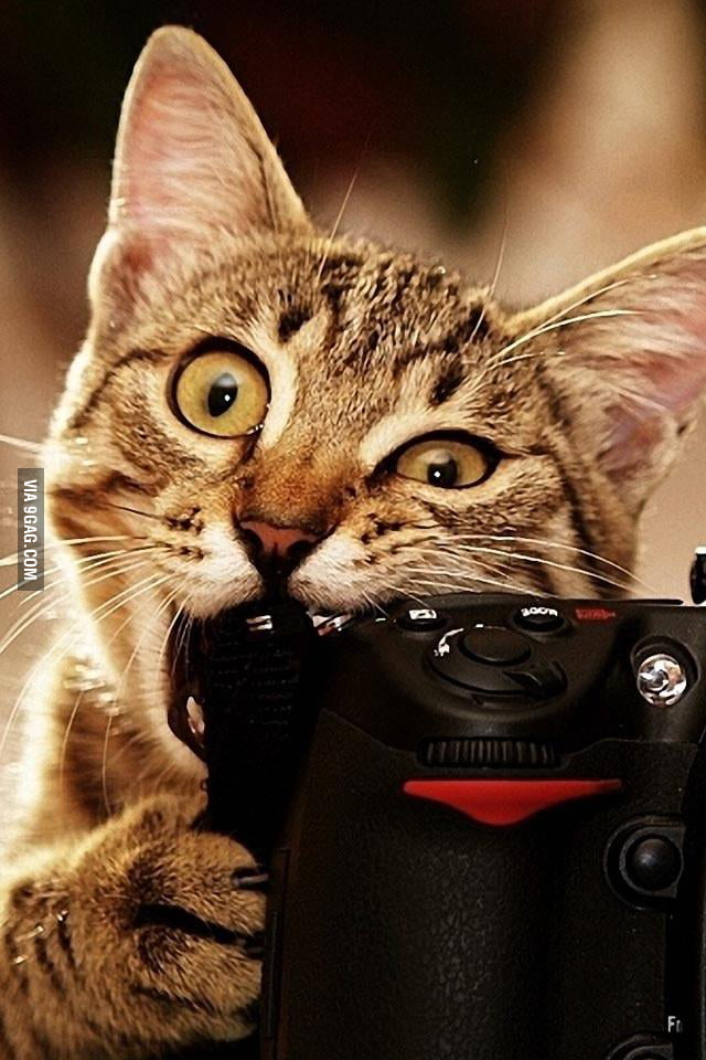 WHy the fu*k you're looking at me? - 9GAG