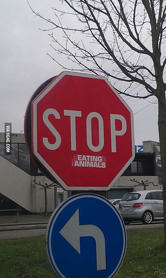 I WILL NEVER STOP!!!! - 9GAG